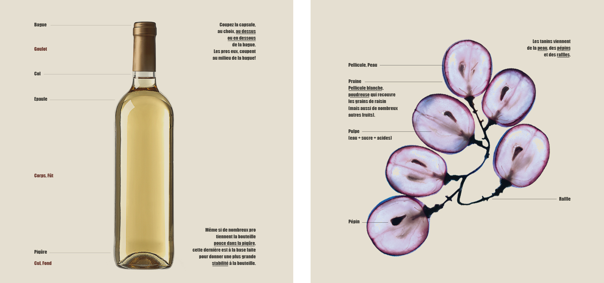 Vintage | Vin, style et dégustation by Alice Weinderland