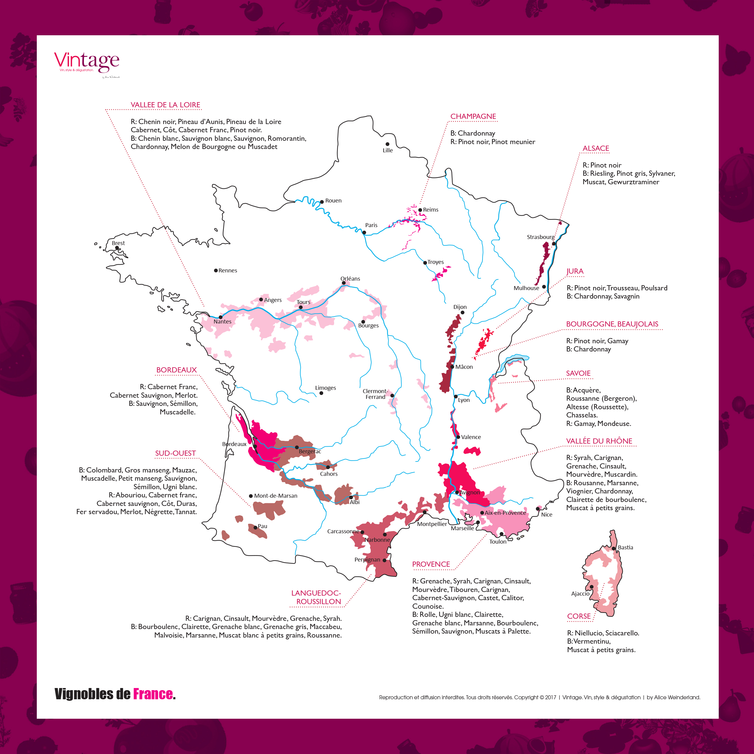 Carte des vins | France. - Vintage